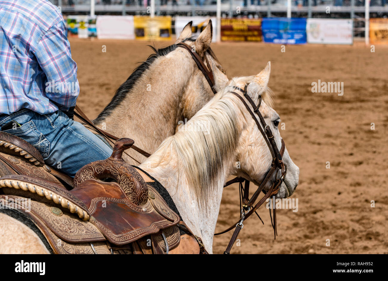 Sella rodeo immagini e fotografie stock ad alta risoluzione - Alamy