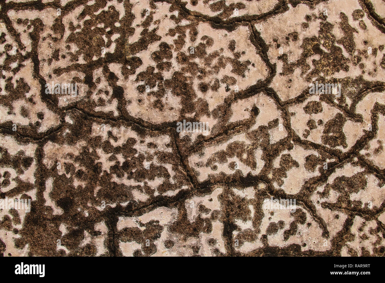 Intonaco di colore rosa immagini e fotografie stock ad alta risoluzione ...