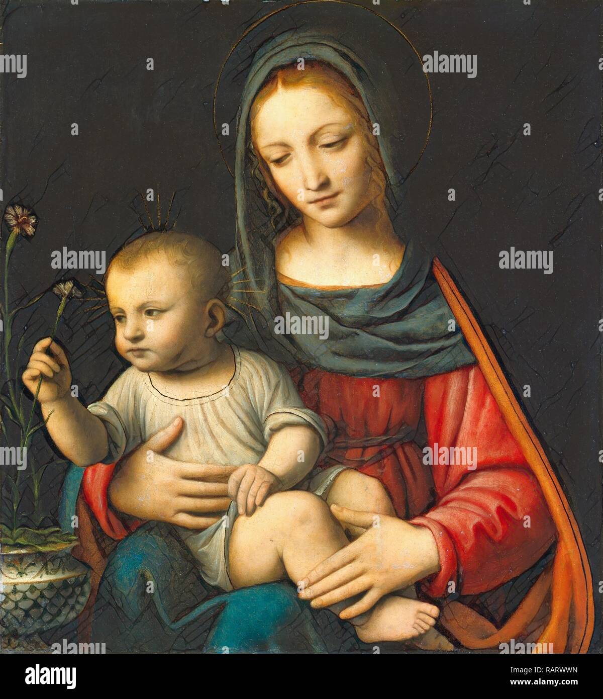 Garofano della madonna immagini e fotografie stock ad alta risoluzione ...