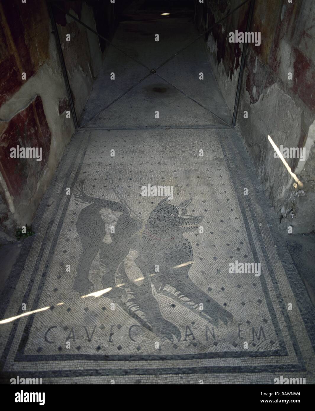 Italy pompeii cave canem immagini e fotografie stock ad alta ...