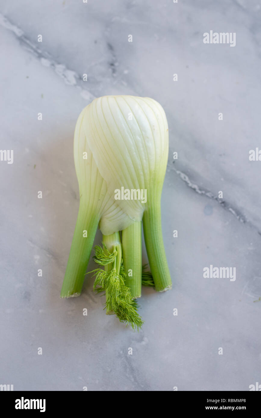Bulbo Di Finocchio Firenze Finocchio Immagini e Fotos Stock - Alamy