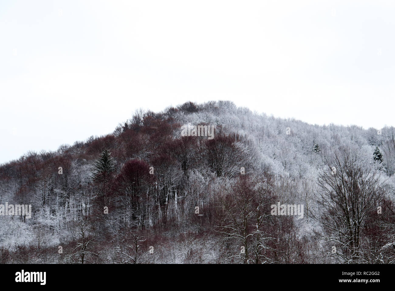 Faccia due facce immagini e fotografie stock ad alta risoluzione - Alamy