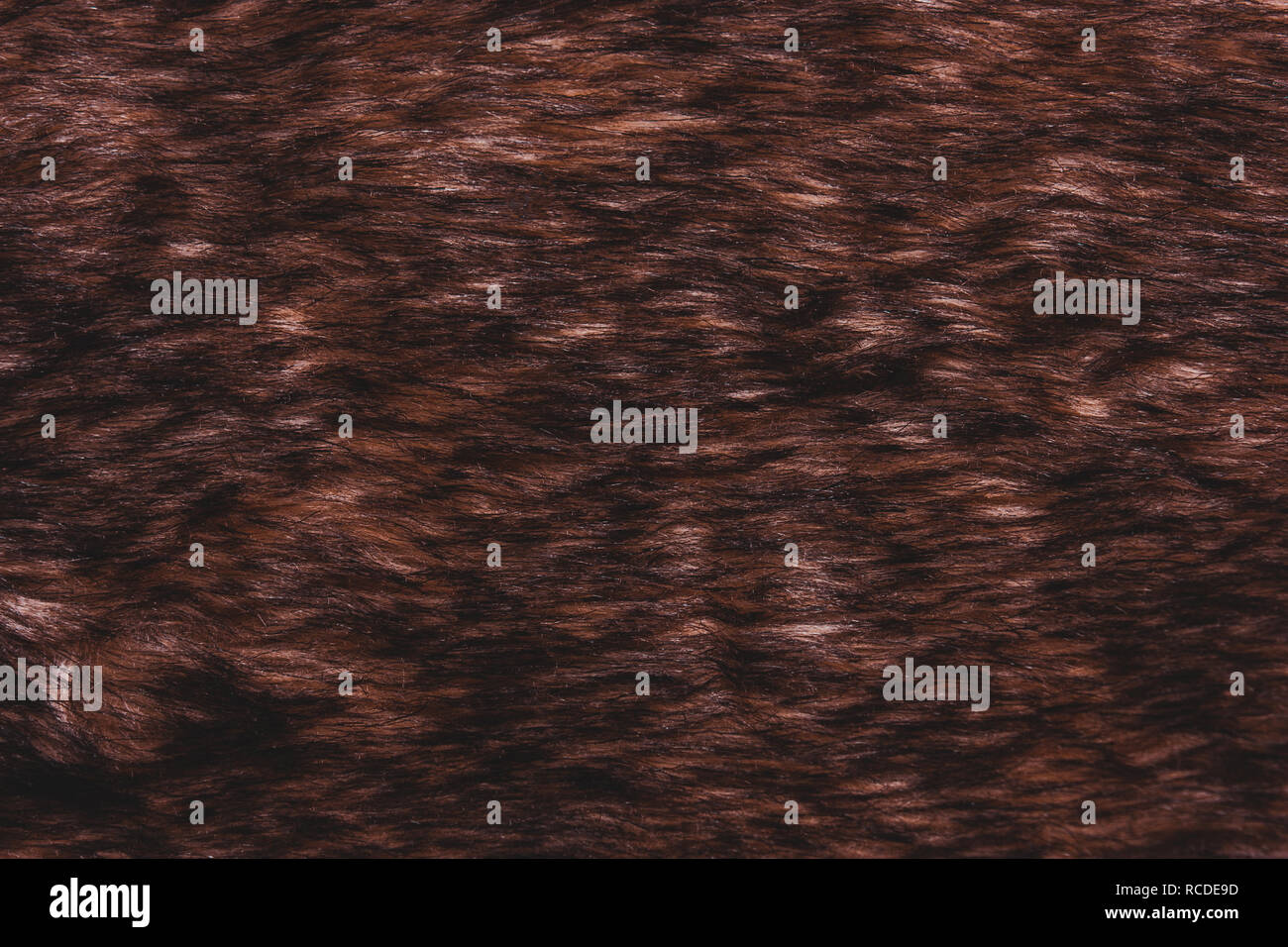 Lupo scuro con sfondo con texture immagini e fotografie stock ad alta ...