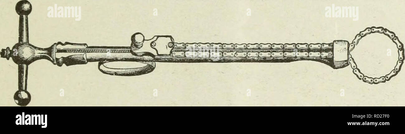 Castrazione del bestiame immagini e fotografie stock ad alta ...