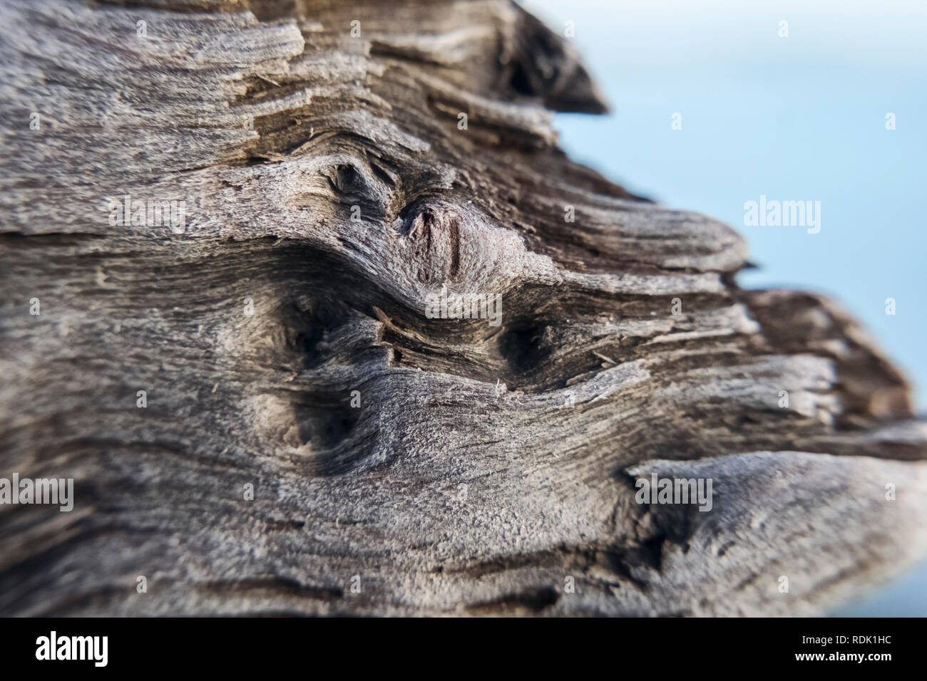 Fibre di legno immagini e fotografie stock ad alta risoluzione - Alamy