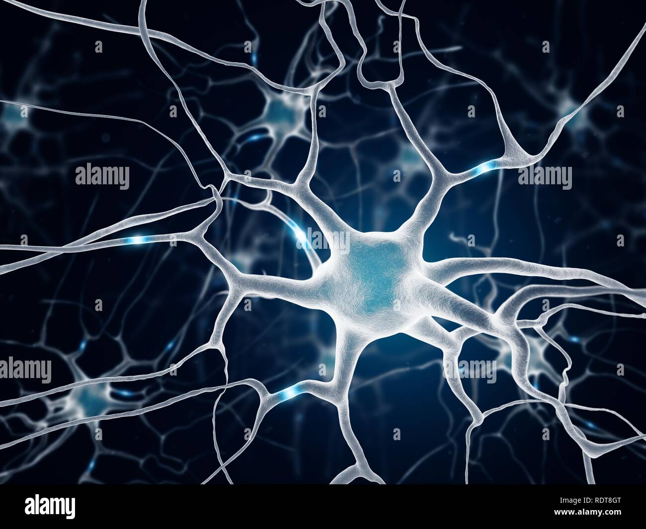 Cellula dei neuroni immagini e fotografie stock ad alta risoluzione - Alamy