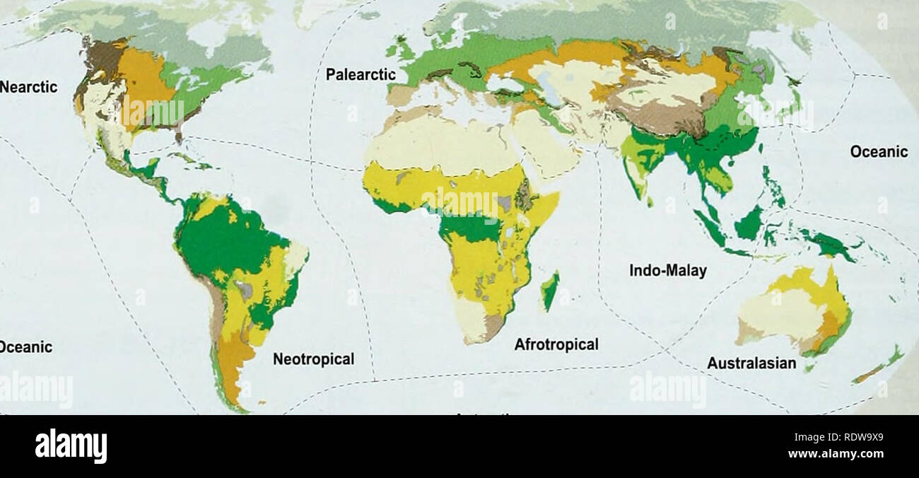 Biomi Importanti Immagini e Fotos Stock - Alamy