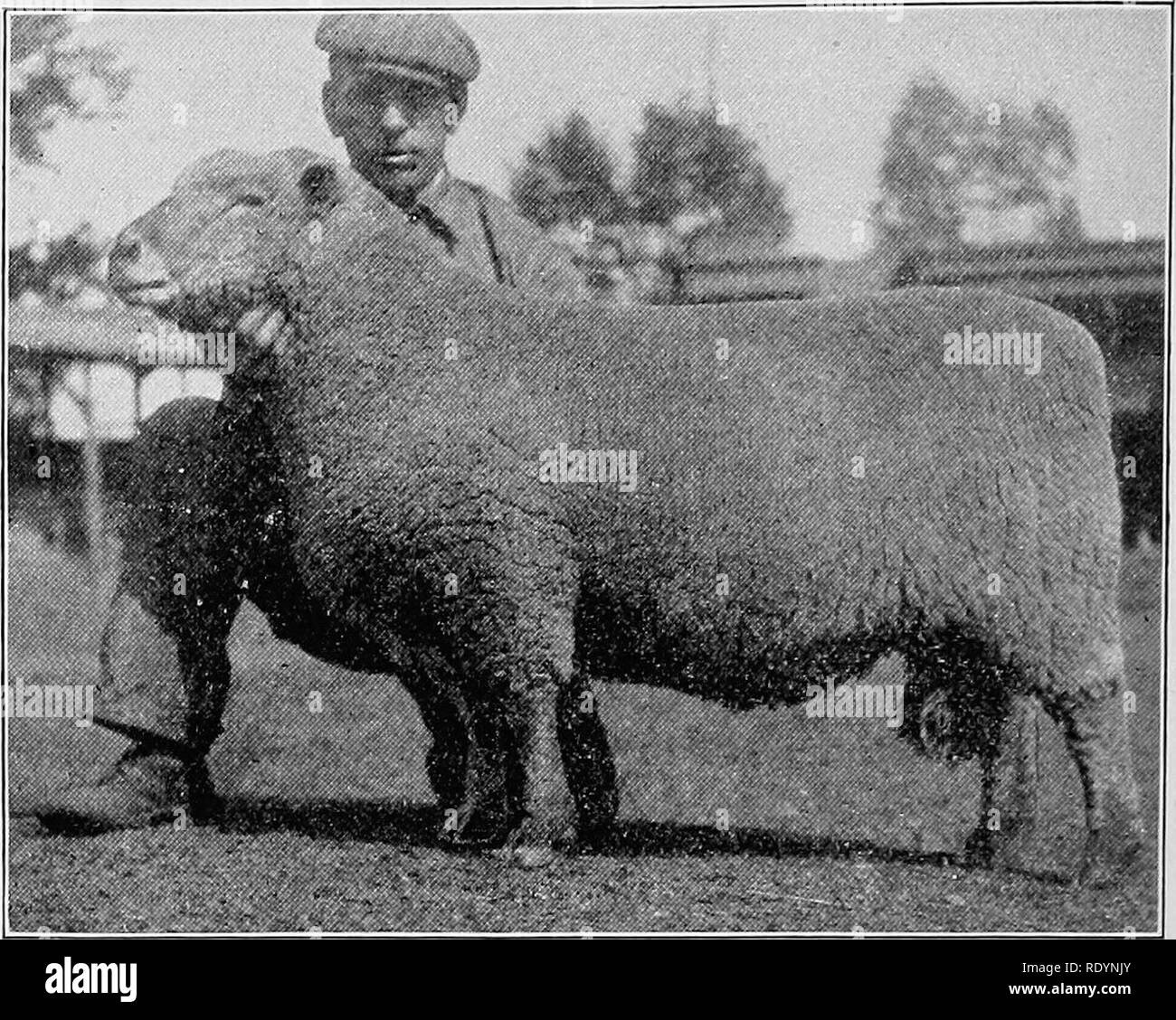 Escala de medida Foto e Immagini Stock in Bianco e Nero - Pagina 3 - Alamy