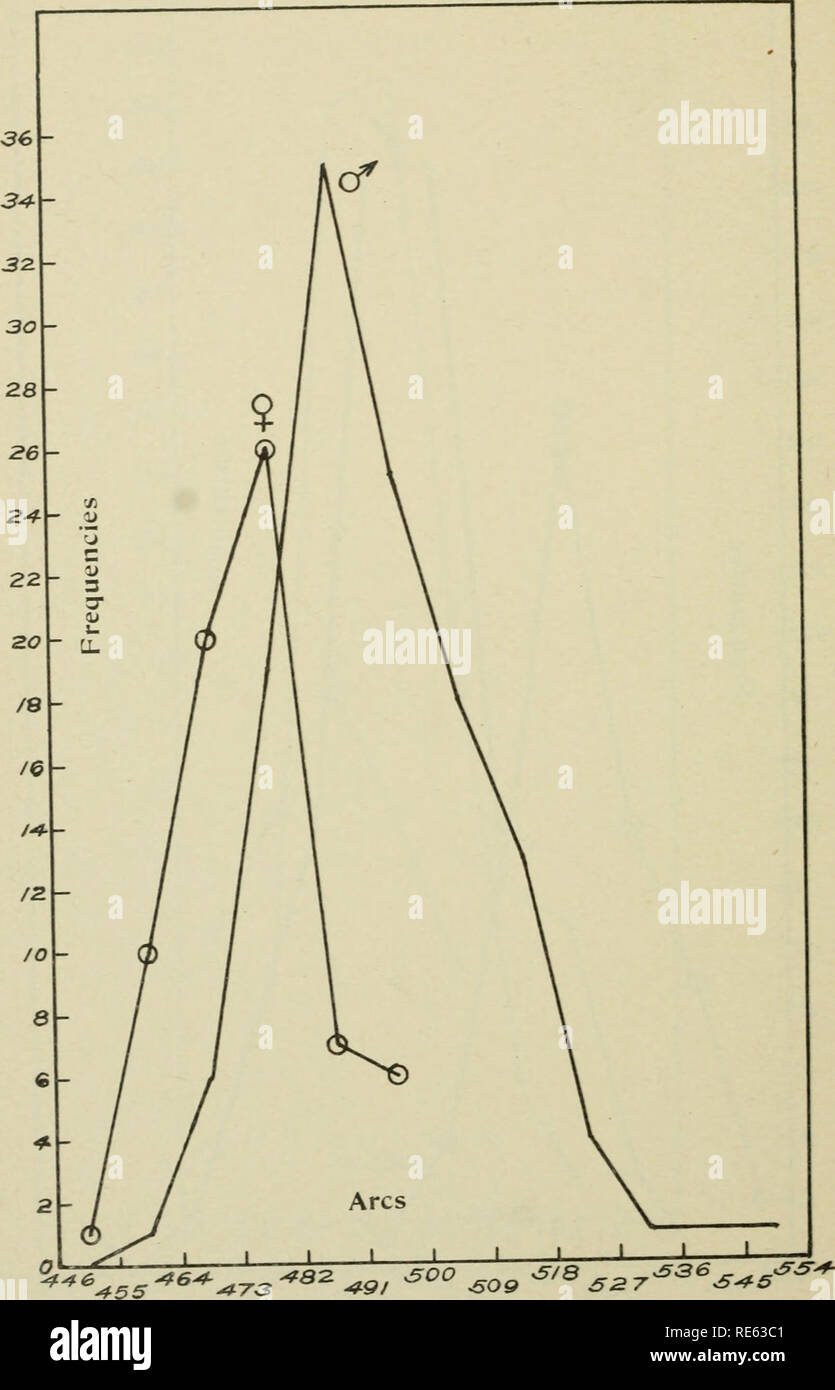 . Craniometry della Nuova Guinea. Craniometry; Craniology -- Nuova ...