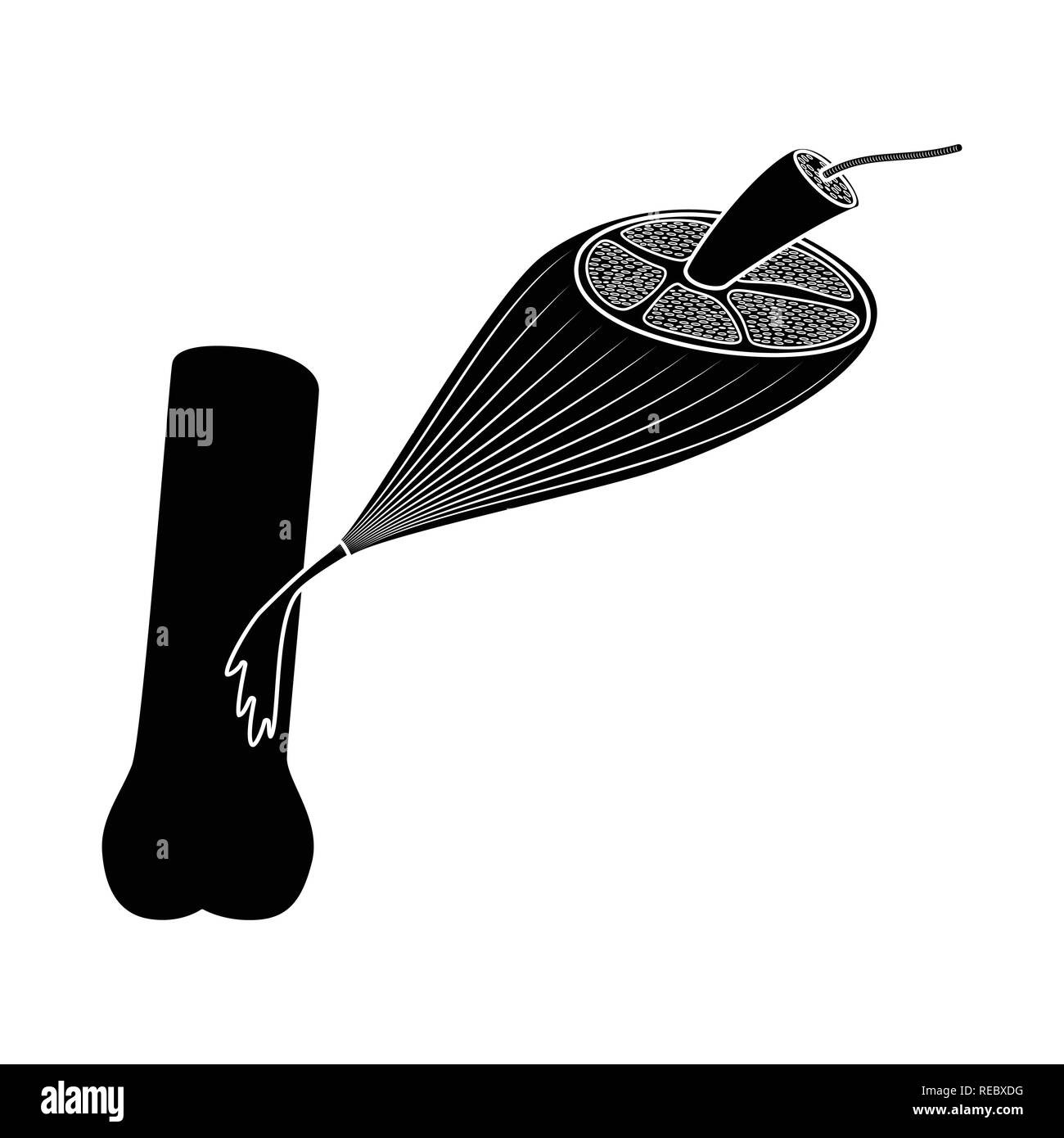 Sistema,actina, miosina,cell,contrazione,striati,filamenti,movimento ...