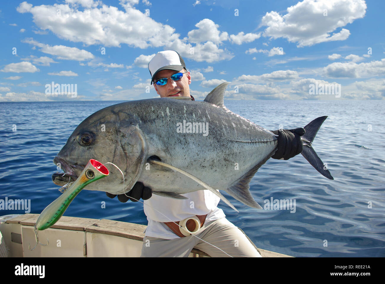 Pesce carangide gigante immagini e fotografie stock ad alta risoluzione ...