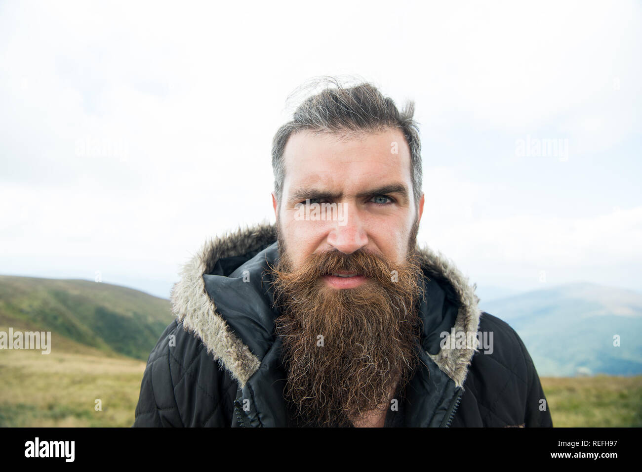 Muso Lungo E Stretto Immagini e Fotos Stock - Alamy