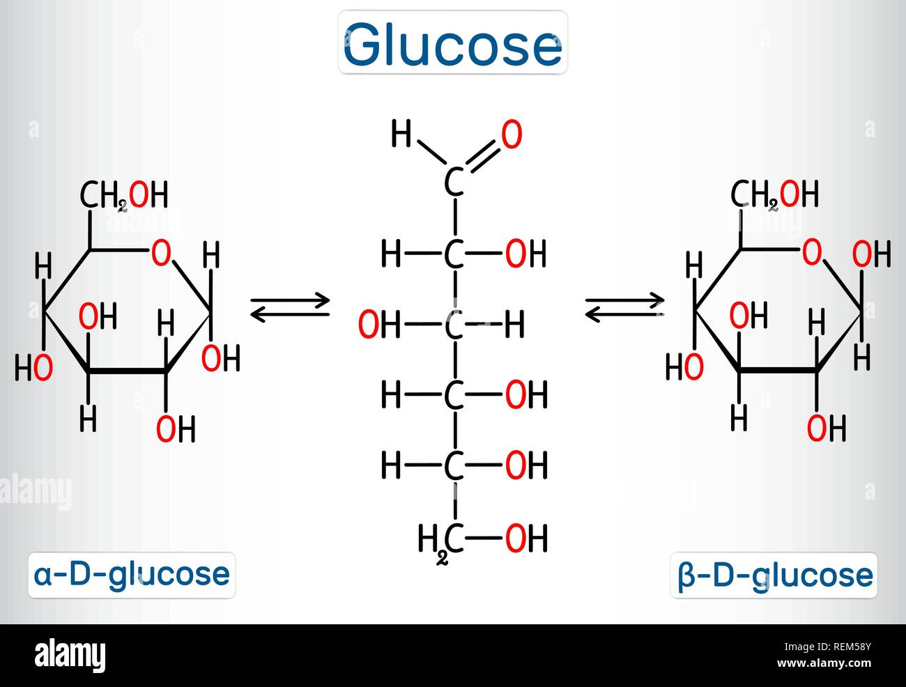 Glucosio (destrosio, D-glucosio molecola). Сyclic e forme aciclici ... Glucosio (destrosio, D-glucosio molecola). Сyclic e forme aciclici ...