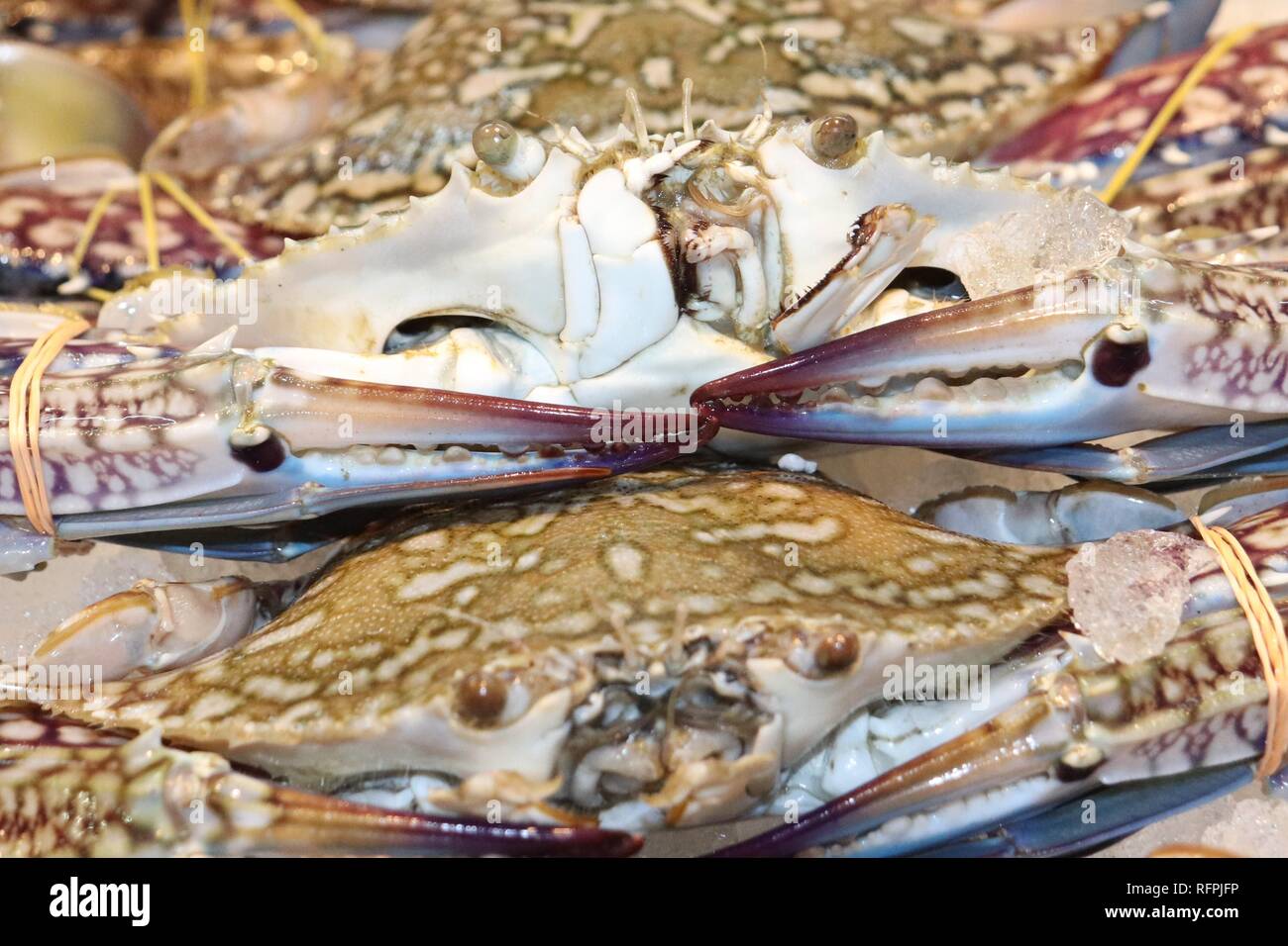 Pesce gamberi e granchi immagini e fotografie stock ad alta risoluzione ...