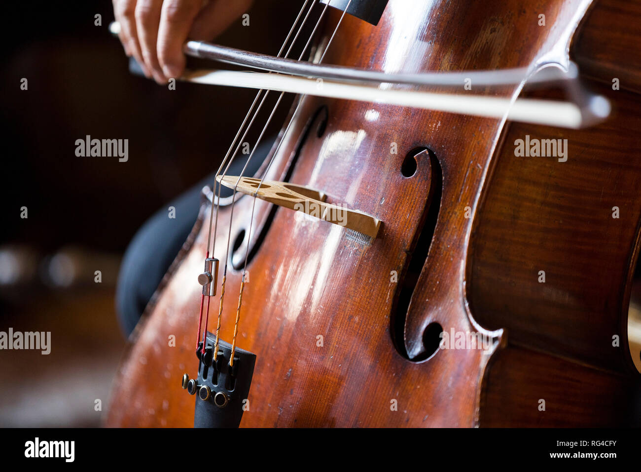 Suonatrice di violoncello immagini e fotografie stock ad alta ...