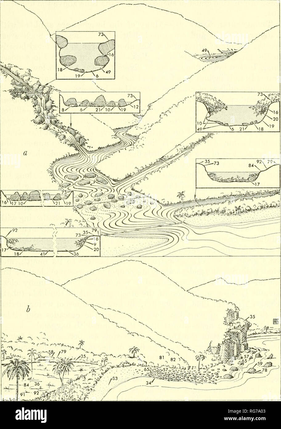 . Bollettino - Stati Uniti Museo Nazionale. La scienza. Crostacei ...