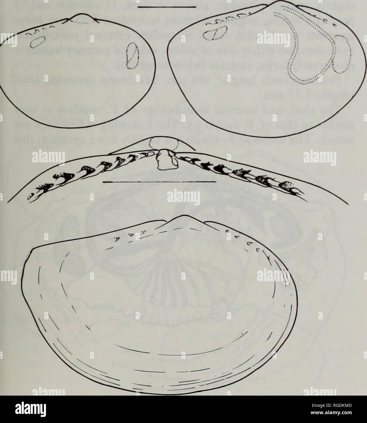 . Bollettino del Museo di Storia Naturale e zoologia. DEEP-SEA ...