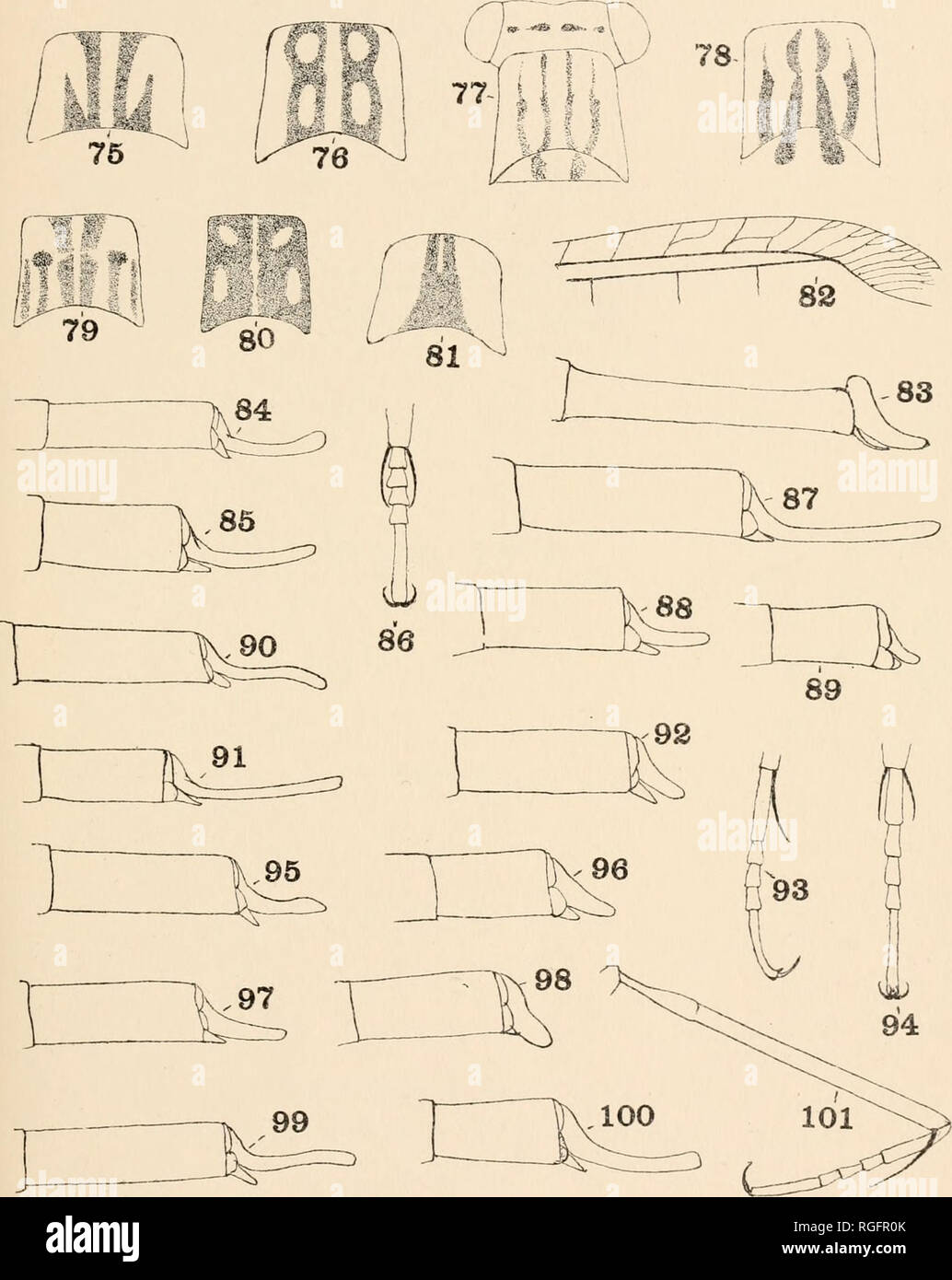 . Bollettino del museo di zoologia comparativa a Harvard College ...
