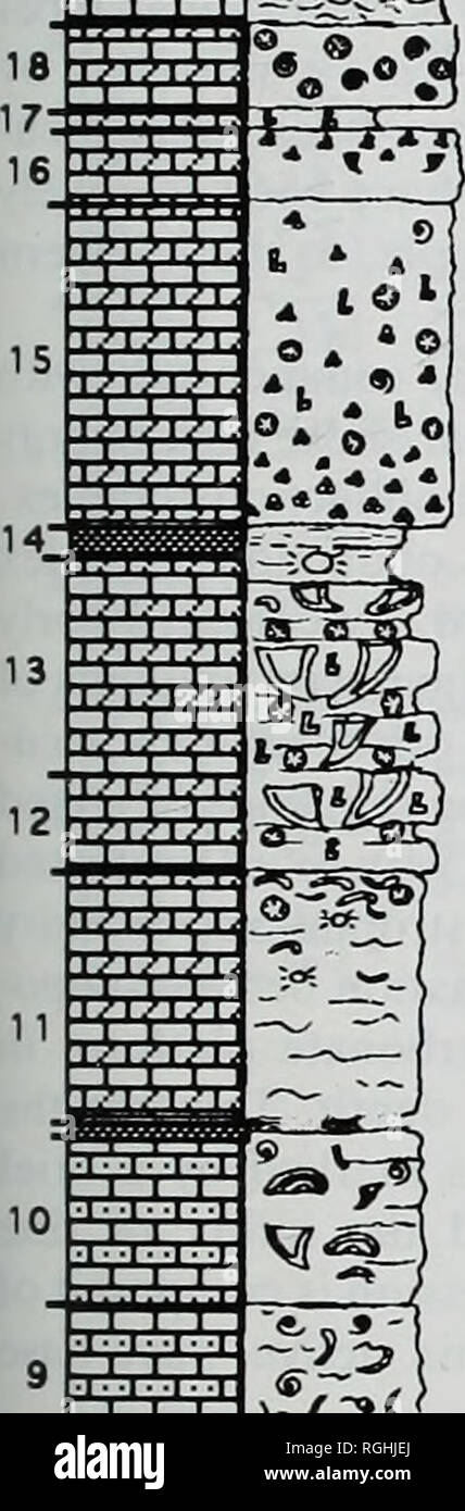 . Bollettino del Museo Britannico di storia naturale), la geologia. 19 ...