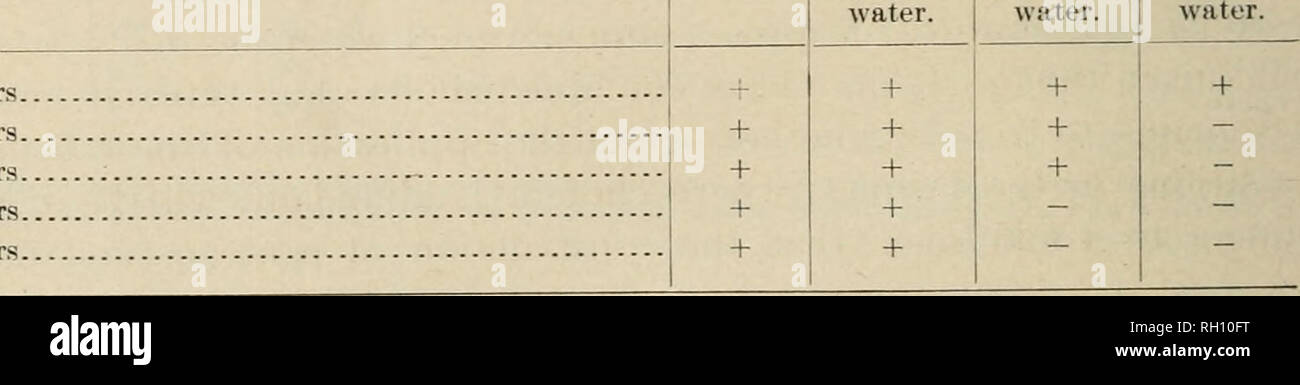 Metodo di lamina di rame immagini e fotografie stock ad alta ...
