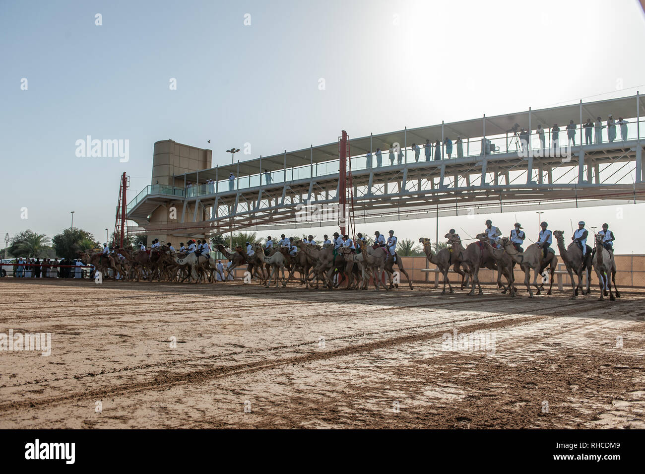 Pista Di Cammello Al Marmoum Immagini e Fotos Stock - Alamy
