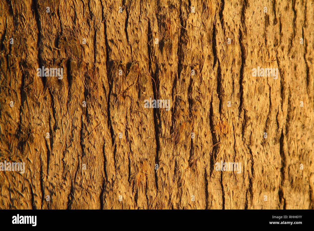 Texture in legno sfondo.ritagliato colpo di sfondo a trama. Texture ad ...