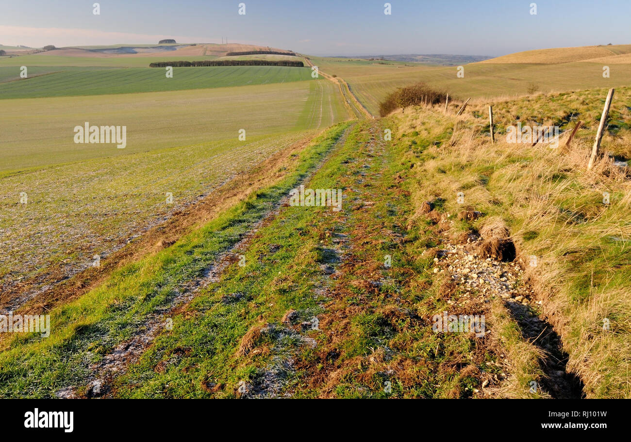 Costruzione stradale romana immagini e fotografie stock ad alta ...