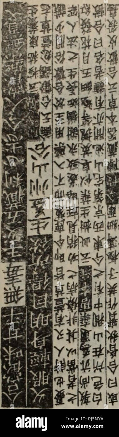 . Chong xiu zhen egli jin shi zheng lei bei yong cao yao ...