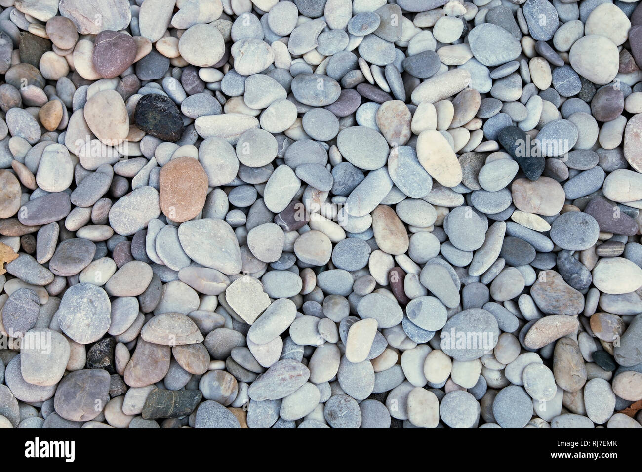 Ciottolo grigio immagini e fotografie stock ad alta risoluzione - Alamy