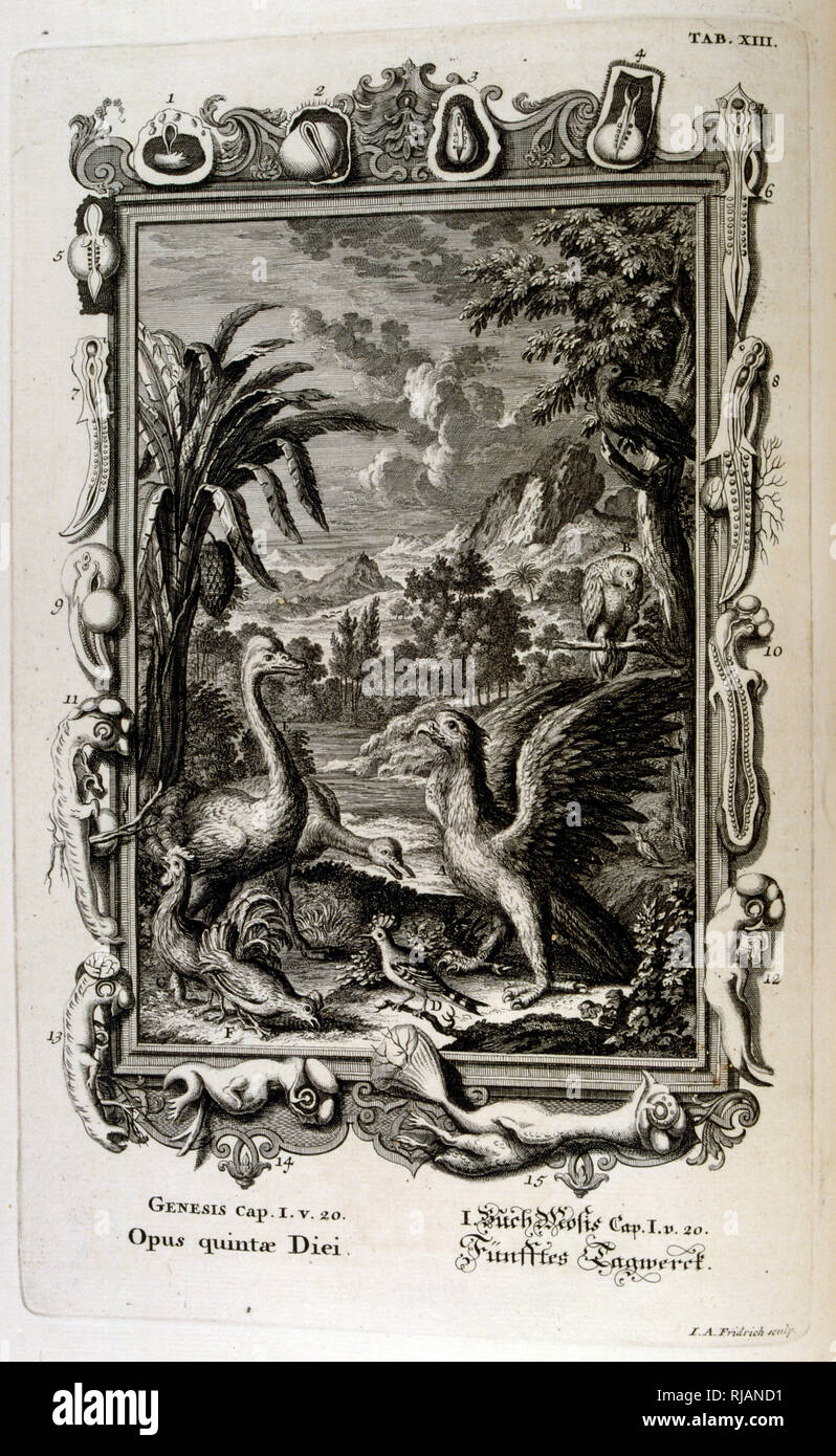 Genesi creazione narrativa è la creazione del mito di entrambi il ...