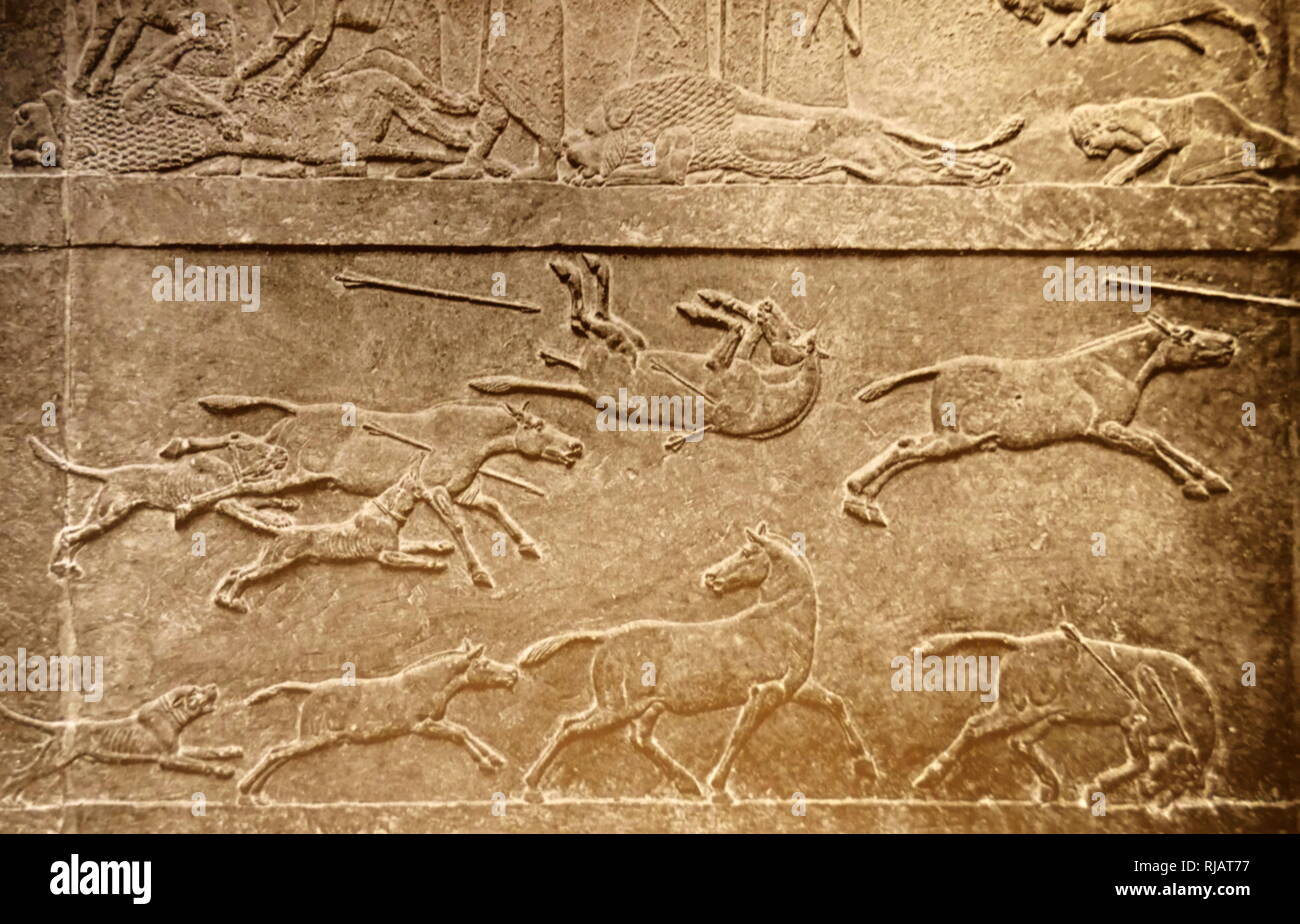 Palazzo di rilievo assiro ashurbanipal immagini e fotografie stock ad ...