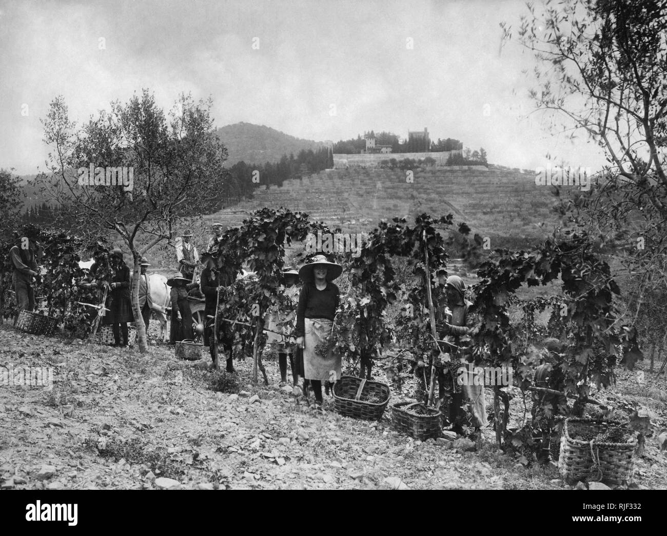 Contadini nei campi immagini e fotografie stock ad alta risoluzione - Alamy