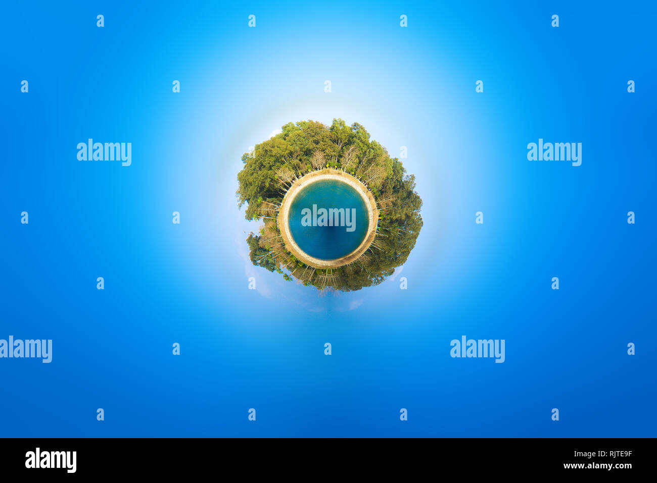 Foto 360 gradi alberi immagini e fotografie stock ad alta risoluzione ...