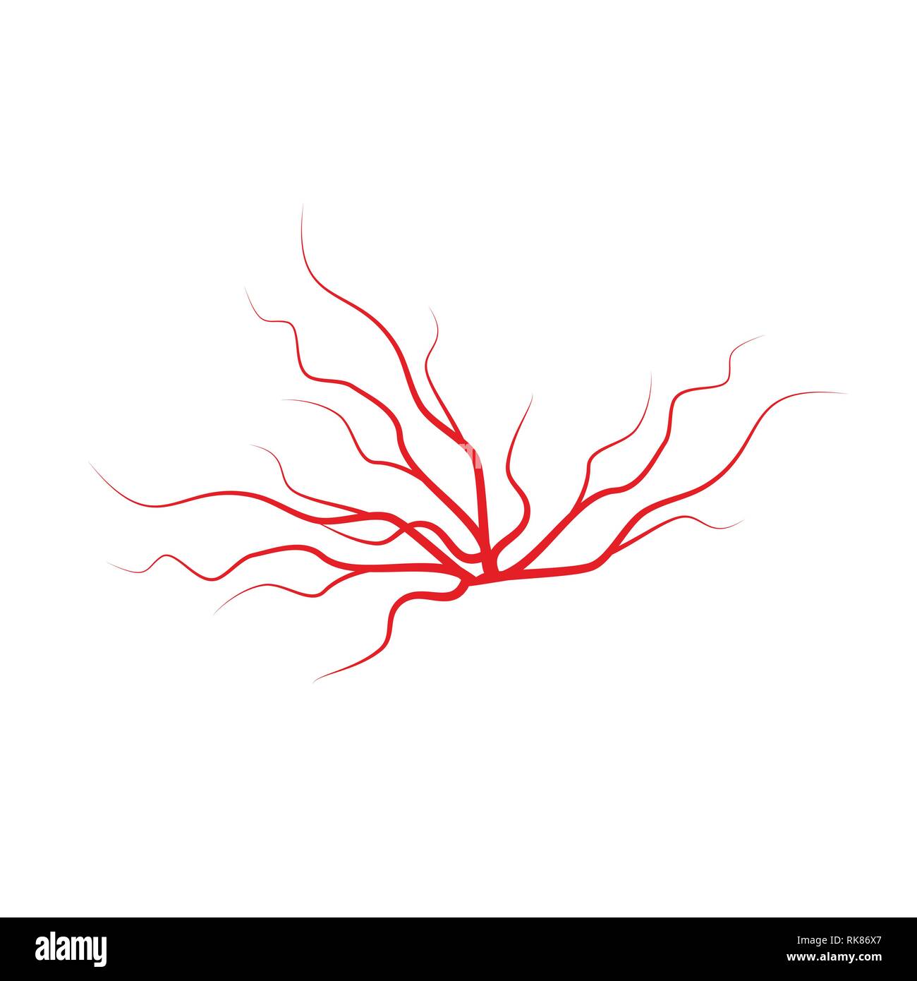 Sangue umano arterie. Vettore di vena icon set. Occhio vene silhouette ...