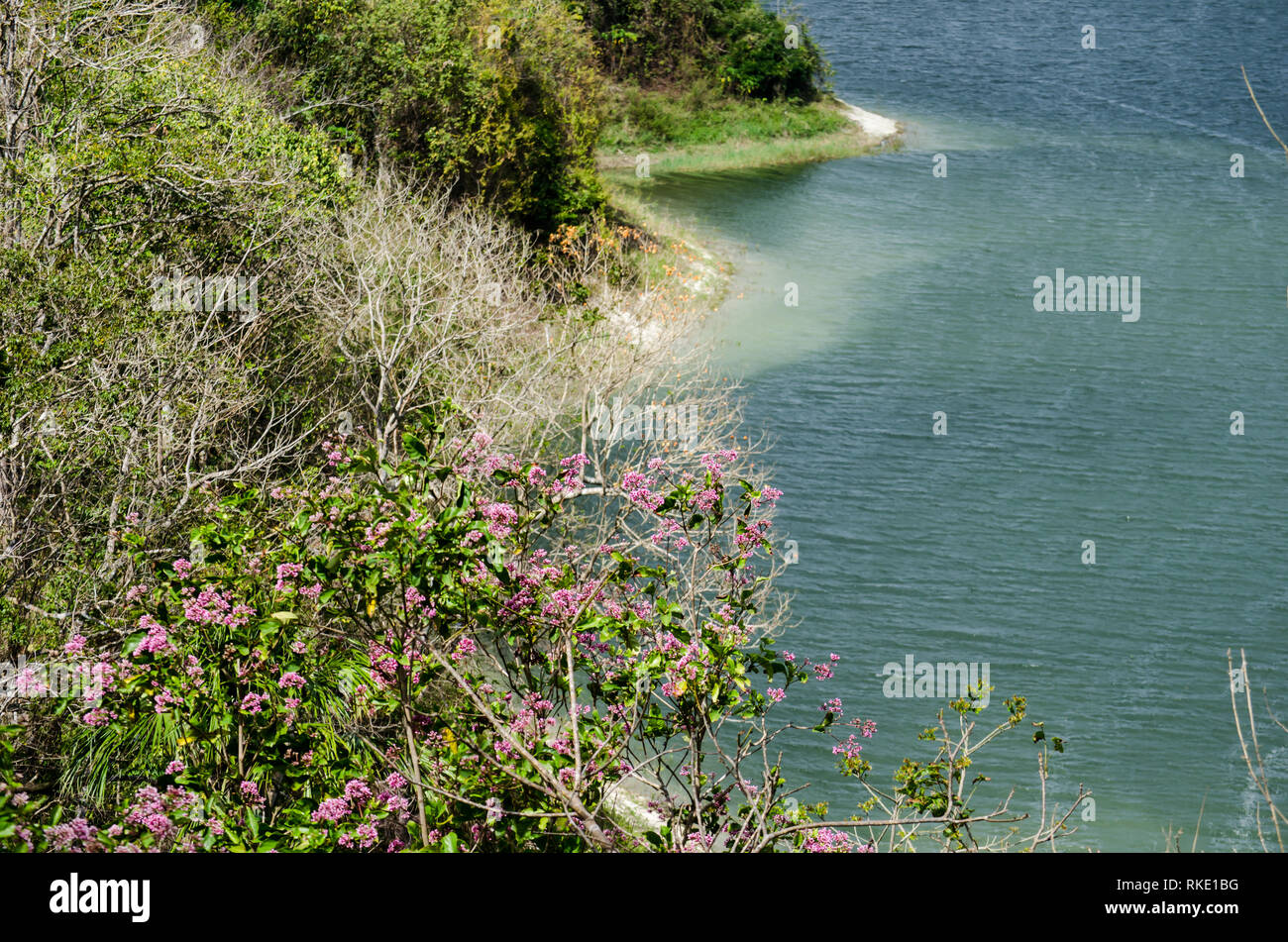 Lago panama bayano orientale immagini e fotografie stock ad alta ...