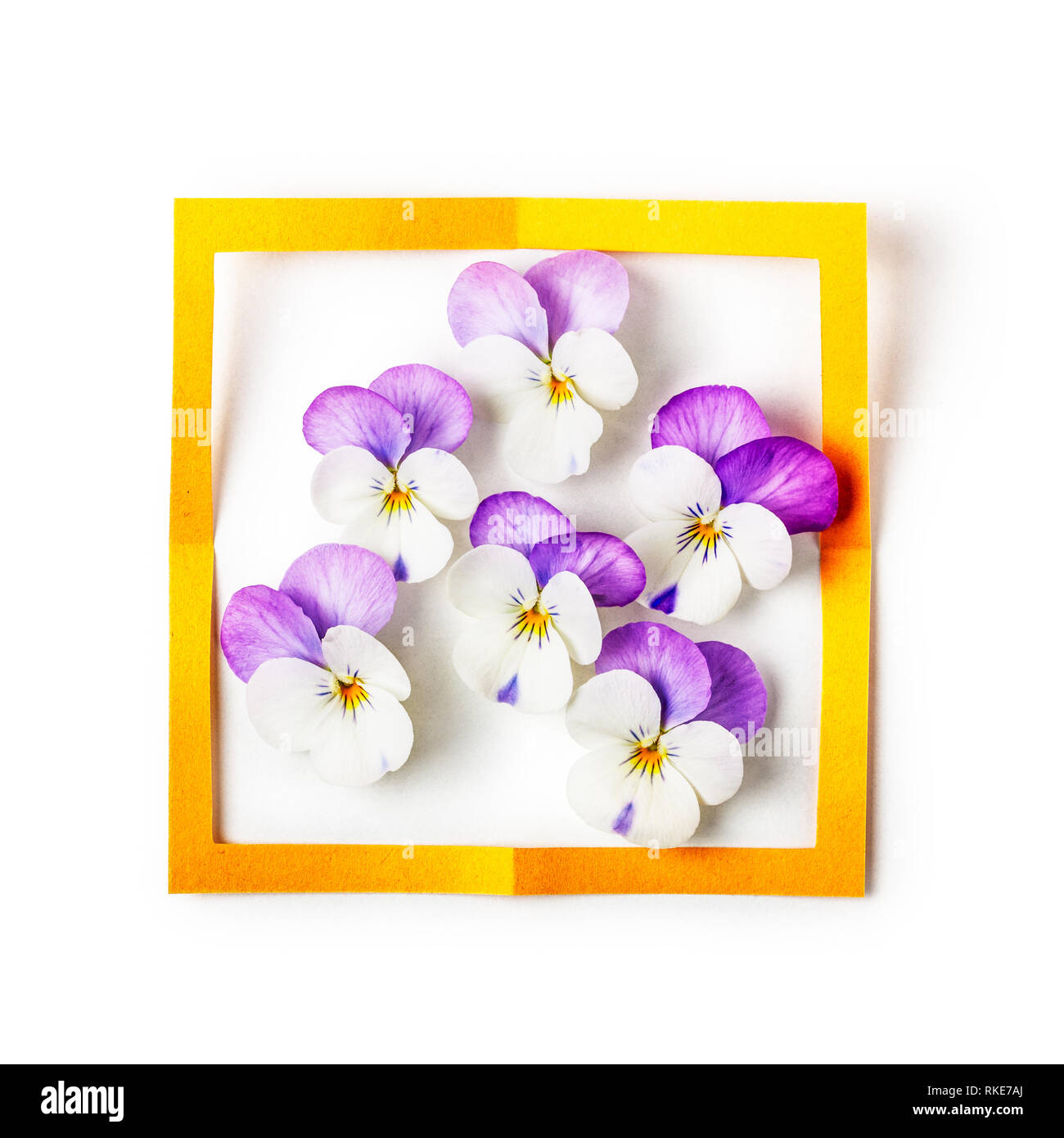 Cornice tricolore immagini e fotografie stock ad alta risoluzione - Alamy