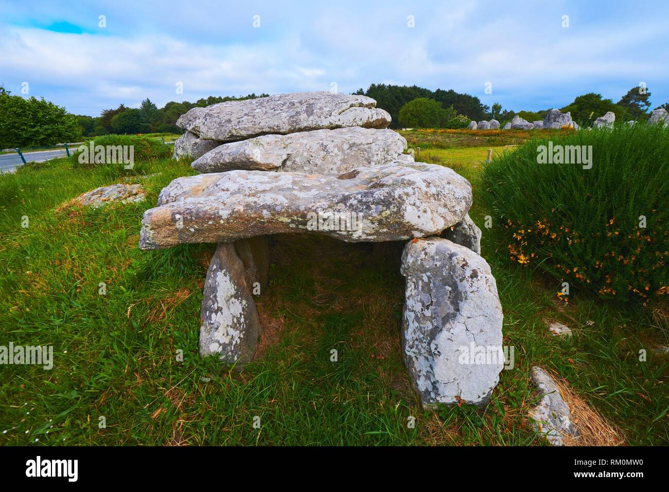 Dolmen megalith bretagne carnac immagini e fotografie stock ad alta ...