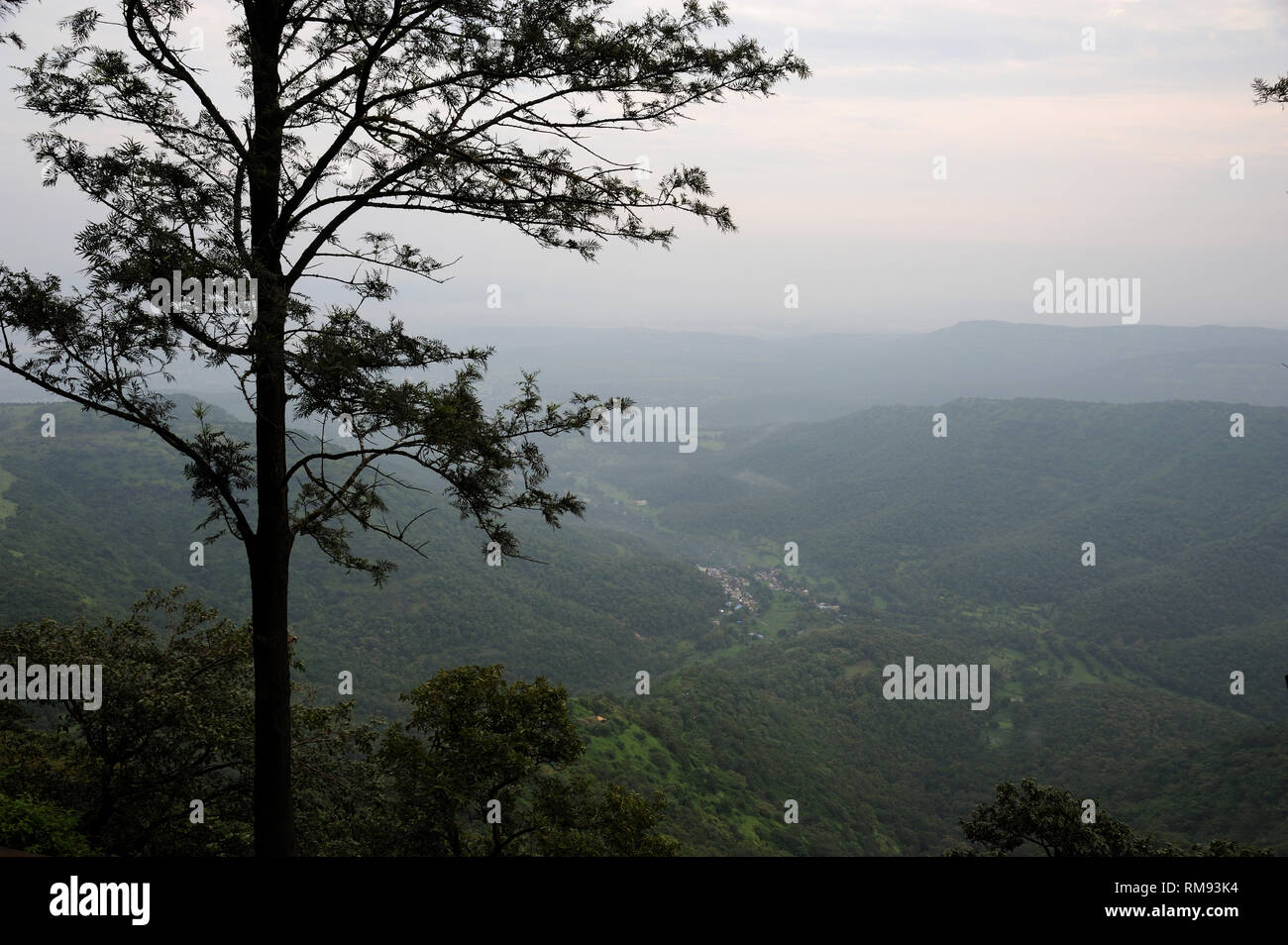 Foreste di ghats occidentali immagini e fotografie stock ad alta ...