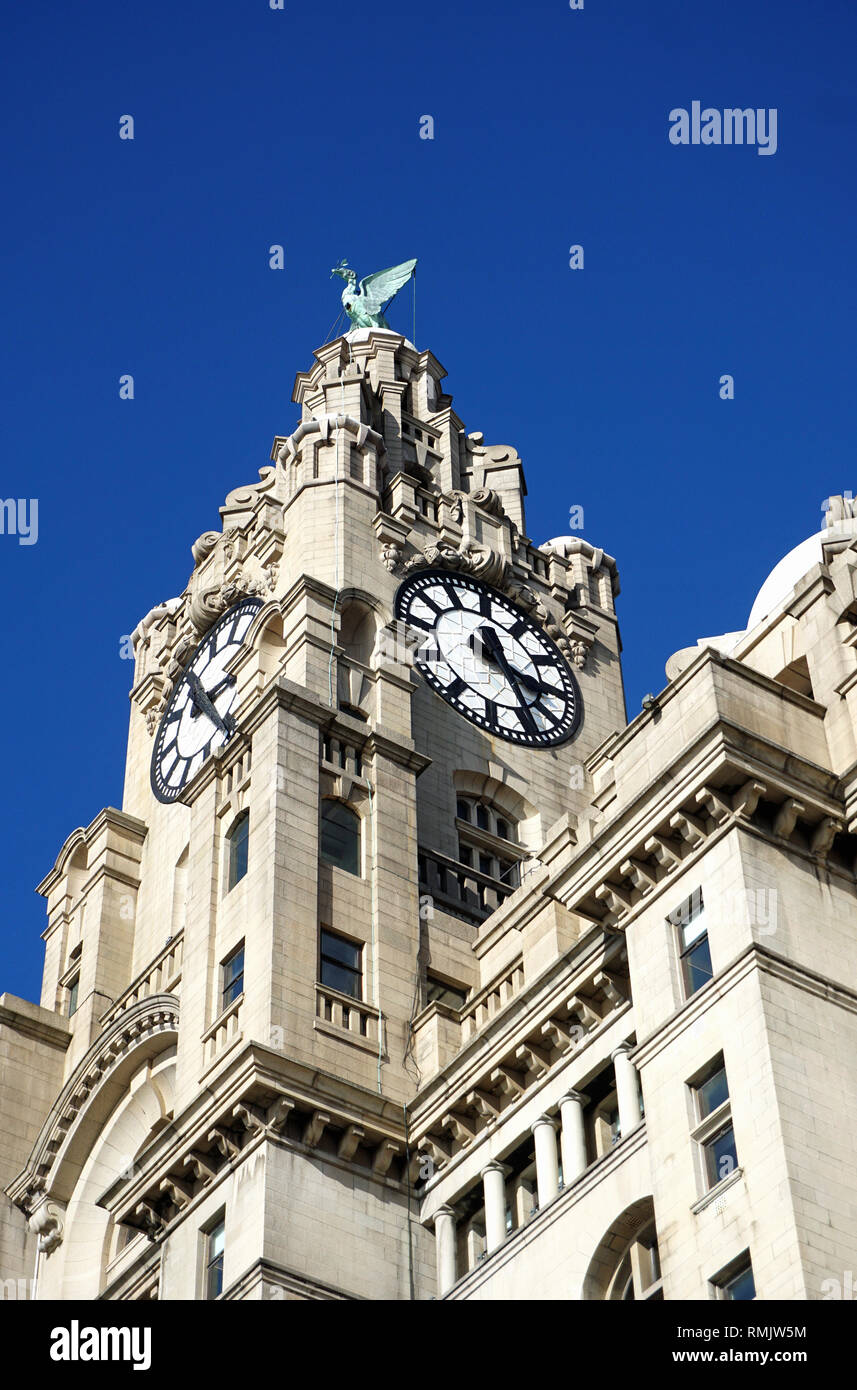 The coat arms liverpool immagini e fotografie stock ad alta risoluzione ...