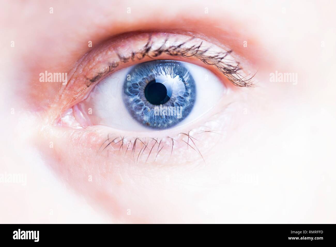 Human eye immagini e fotografie stock ad alta risoluzione - Alamy