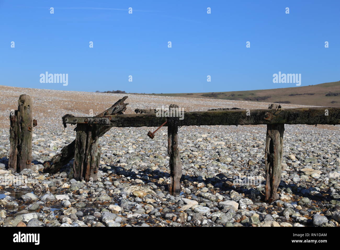 Spiaggia di ghiaia fossile immagini e fotografie stock ad alta ...