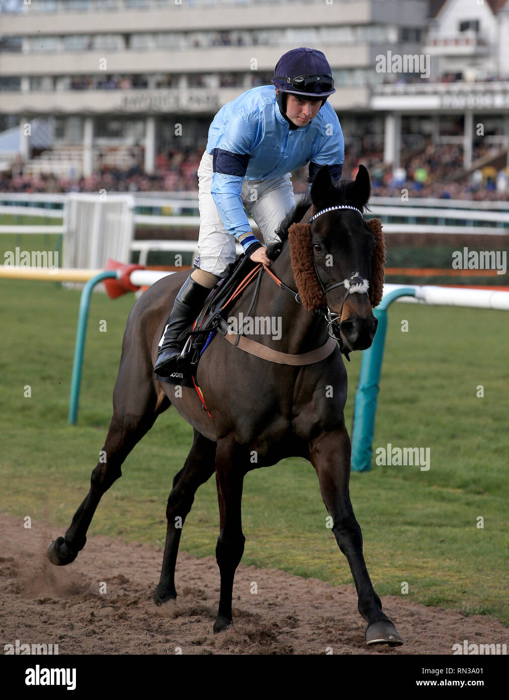 William hill grand national trial day haydock racecourse immagini e ...