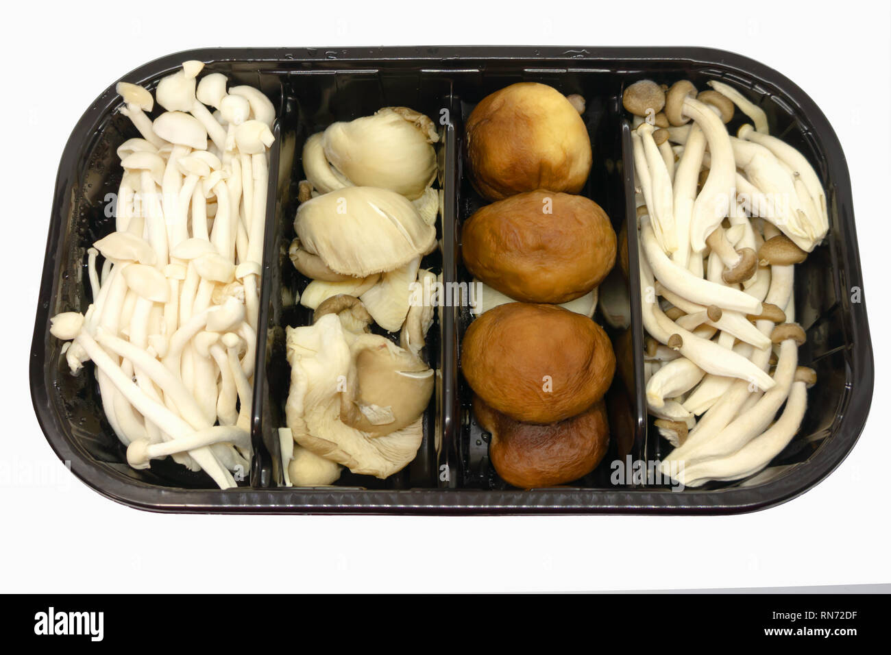 Funghi enoki marroni immagini e fotografie stock ad alta risoluzione ...