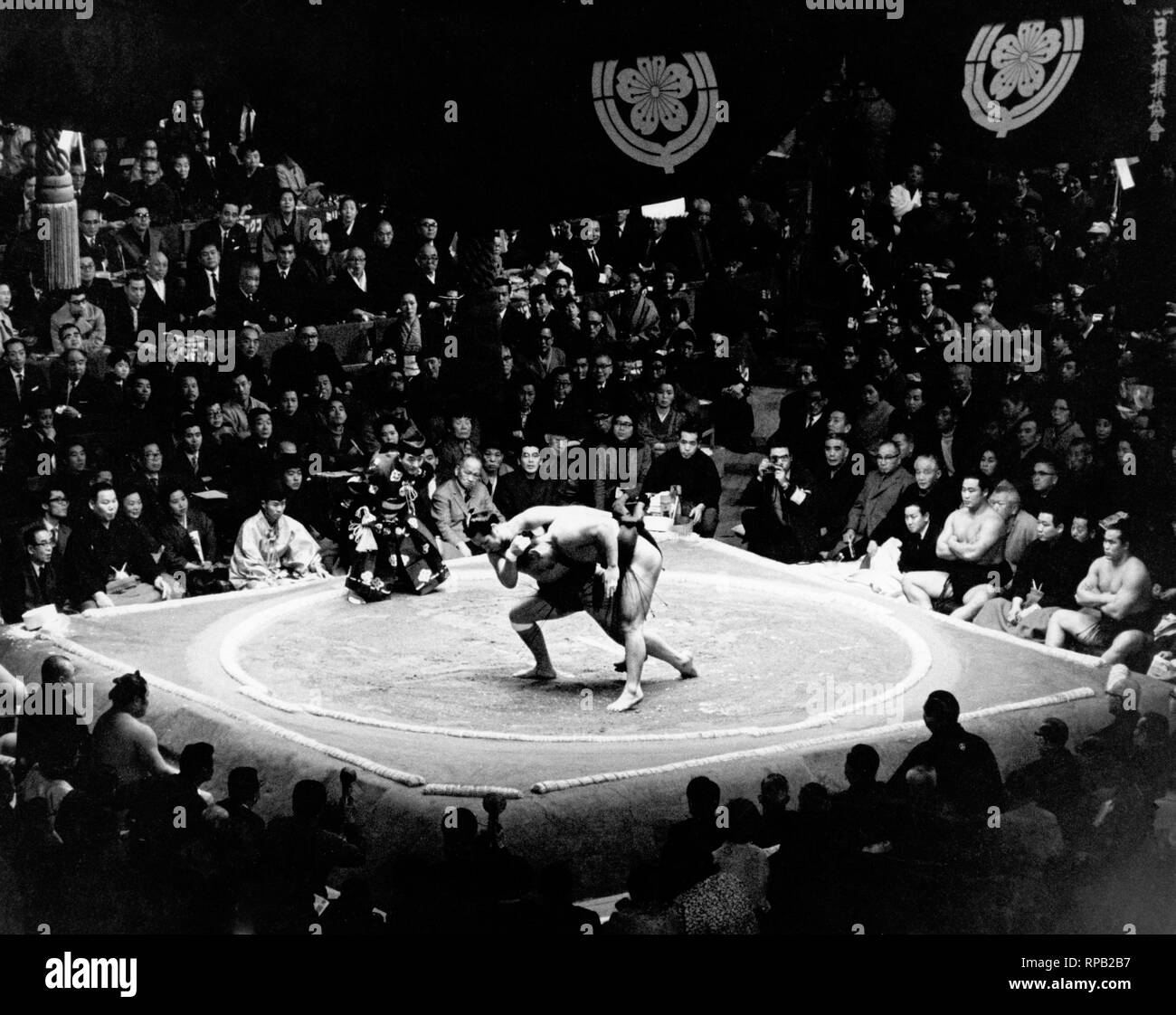 Giappone, Tokyo, la lotta tra i lottatori di sumo, 1973 Foto stock - Alamy