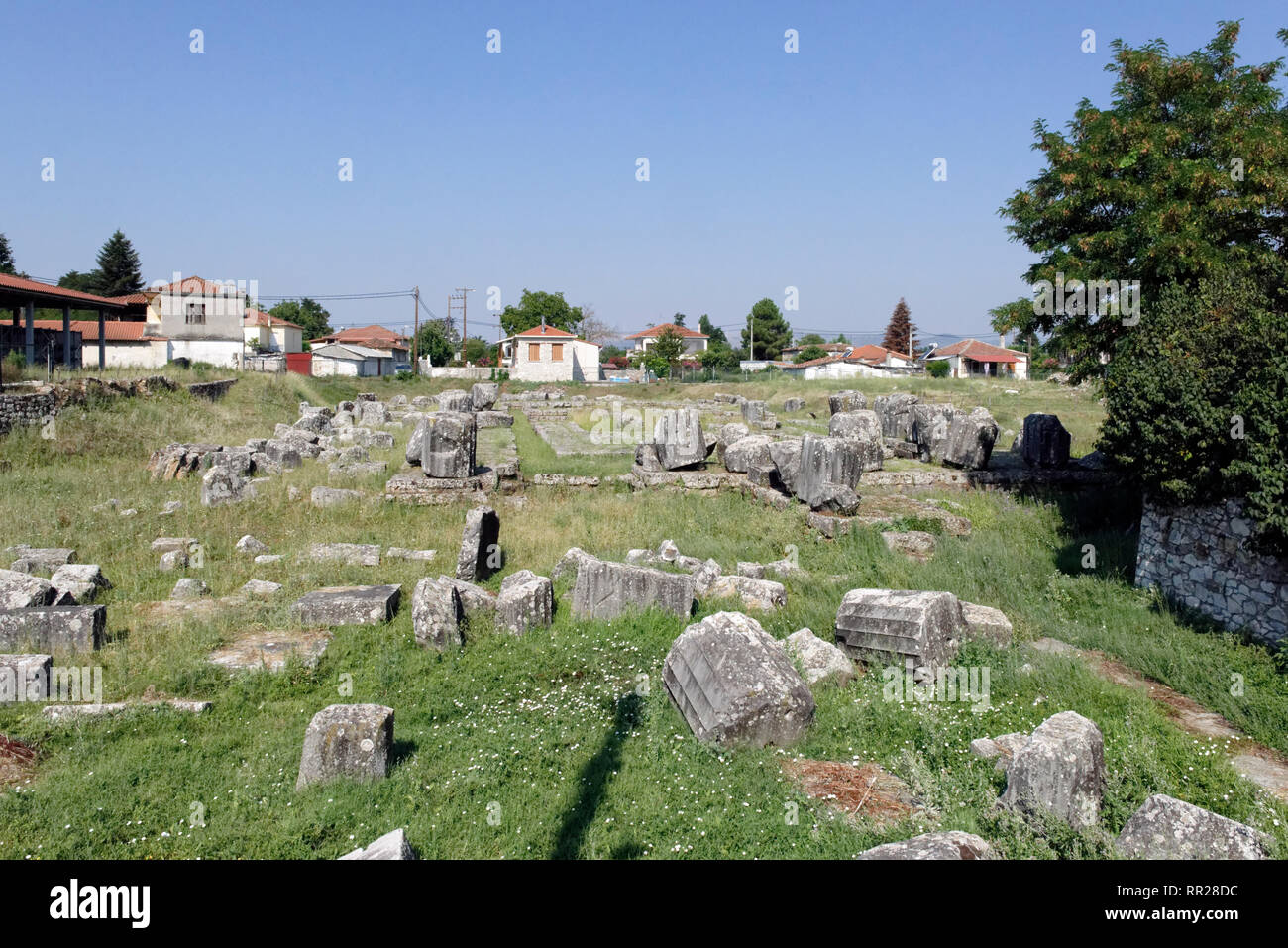 Athena alea immagini e fotografie stock ad alta risoluzione - Alamy