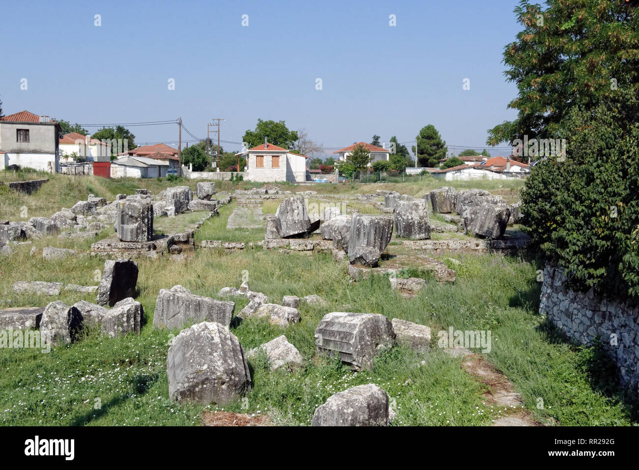 Athena alea immagini e fotografie stock ad alta risoluzione - Alamy