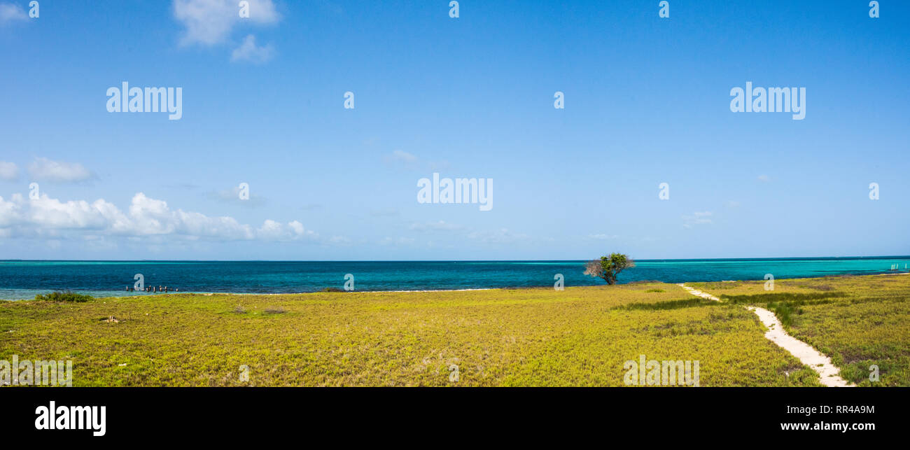 Los dos roques immagini e fotografie stock ad alta risoluzione - Alamy