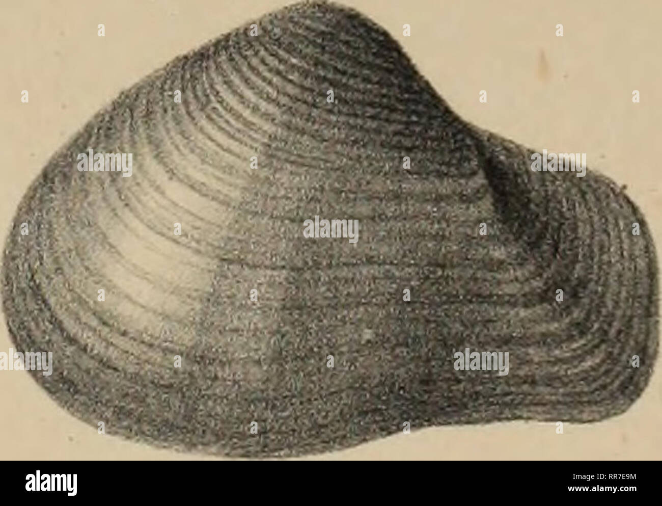 Piff paff immagini e fotografie stock ad alta risoluzione - Alamy