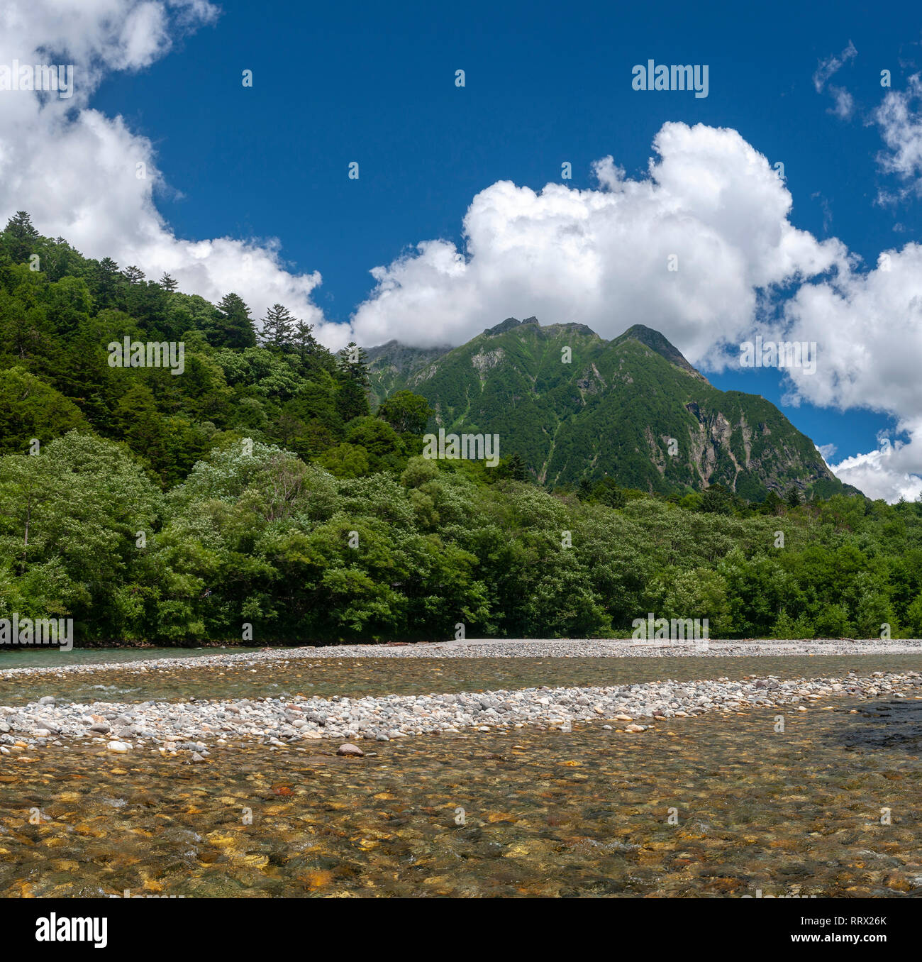 Monumento naturale speciale giapponese immagini e fotografie stock ad ...