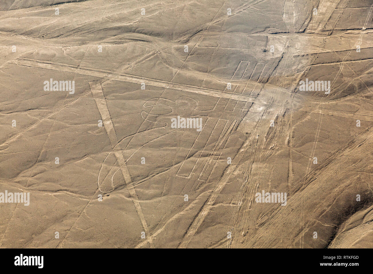 Vista aerea delle linee di Nazca, il pappagallo, Perù Foto stock - Alamy